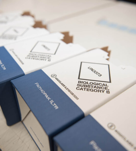 Intelsius - News | Intelsius Product Launch: ORCA Pallet