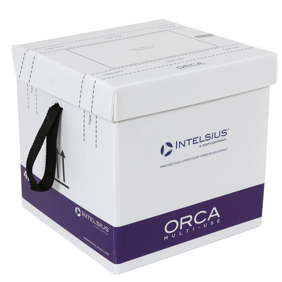 Dry Ice Packaging - Intelsius | Cold Chain Packaging
