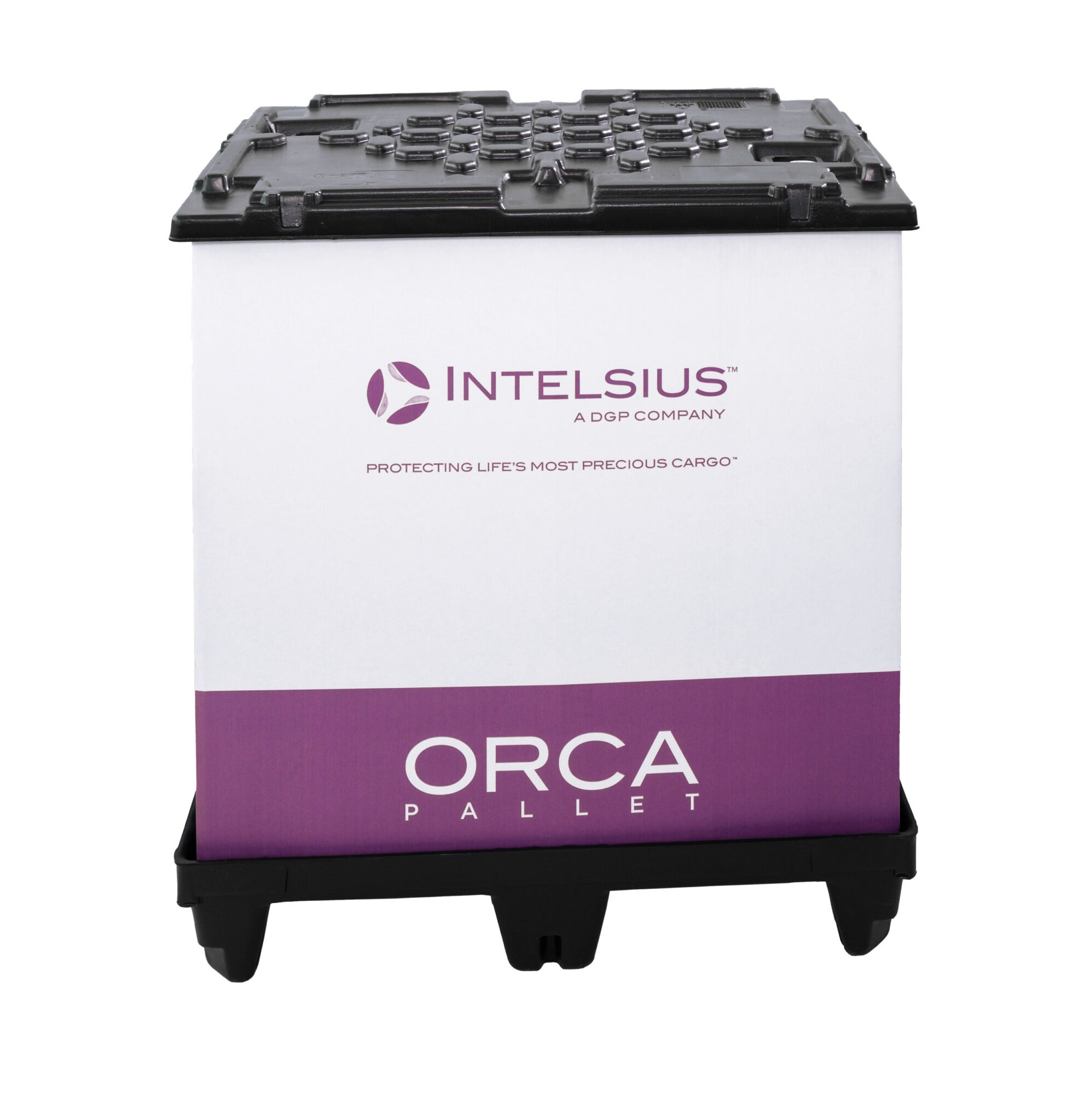 ORCA Archives - Intelsius UK